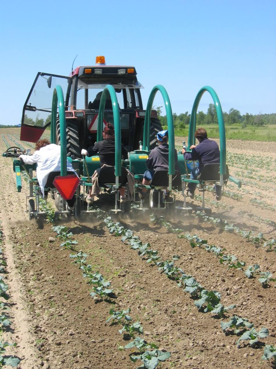 EcoWeeder by Univerco